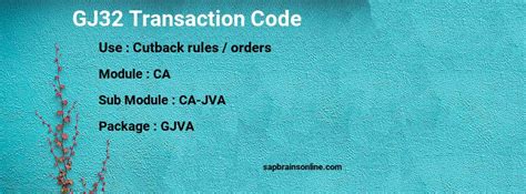 GJ SAP Tcode For Cutback Rules Orders