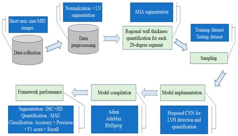 Deep Learning Based Algorithm For The Classification Of Left Ventricle