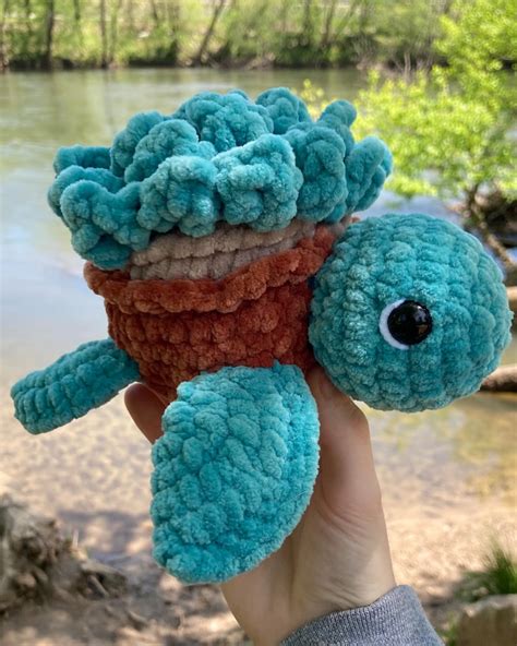 Succulent Turtle Etsy