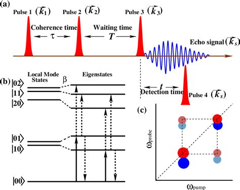 Figure 1 From Two Dimensional Infrared Spectroscopy Reveals Better