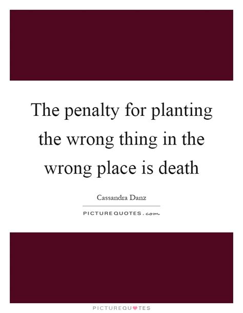 Cassandra Danz Quotes And Sayings 1 Quotation