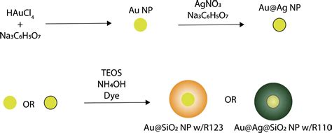 Synthesis And Characterization Of Dye Doped Au Sio2 Core Shell Nanoparticles For Super