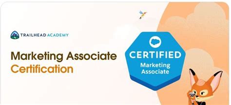 Learn Technocrats On Linkedin Salesforce Marketingassociate