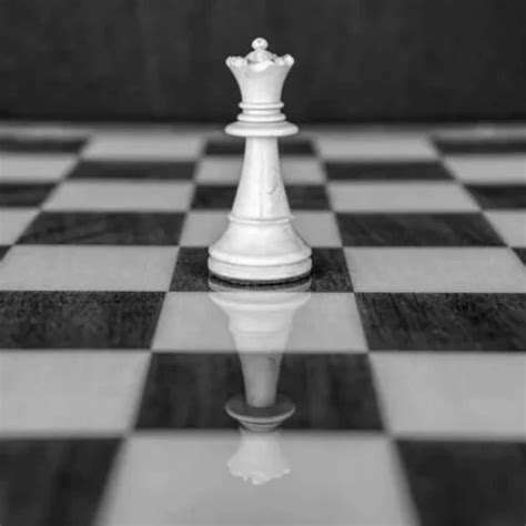 Download Of The Scid Database Lumbras Gigabase