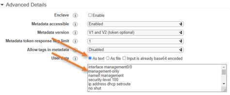 How To Deploy Cisco Asav In Aws Step By Step Guide Getlabsdone
