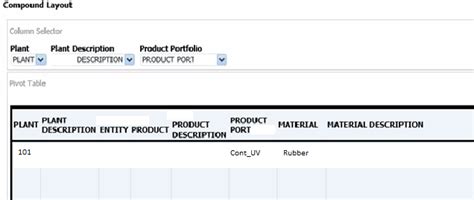 Obiee 11g Dynamic Column Selector In Report