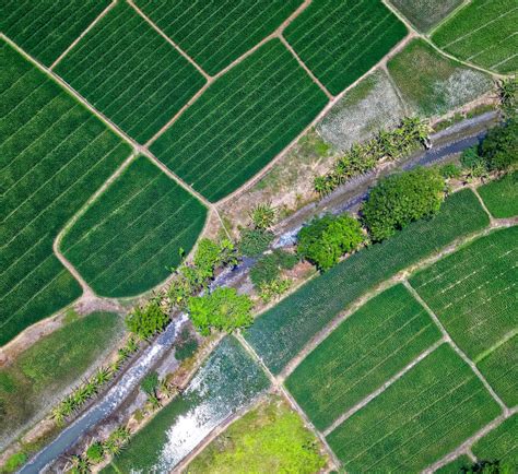 empowering investigation analysis with predictive geospatial and text