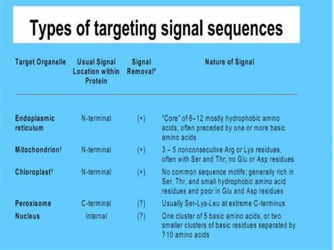 Protein Sorting And Targeting Pptx
