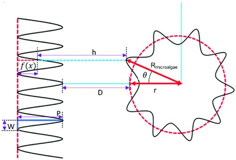 Parameters Involved In The Interaction Between Membrane Surface And