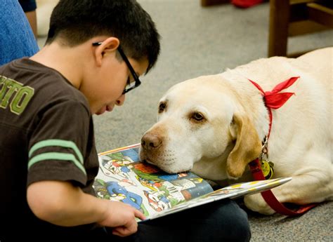 Read To The Dogs At The Placentia Library Orange County Register