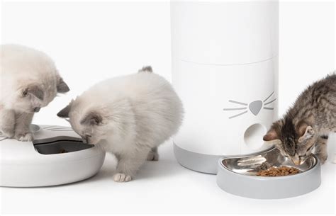 Catit Uk Official Catit Brand Store