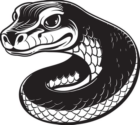 Regal Reptile An Artistic Exploration Of Pythons Form Function And