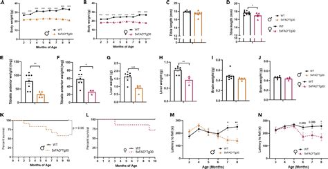 Behavioral Metabolic And Lipidomic Characterization Of The XFADxTg Mouse Model Of Alzheimer