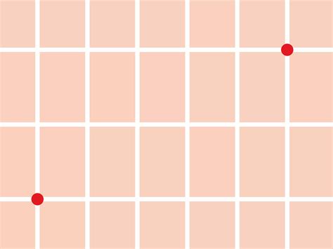 Layout Principles PDF