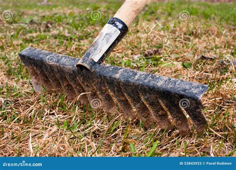 Removal Of The Old Grass With Rake Stock Image Image Of Land Remove