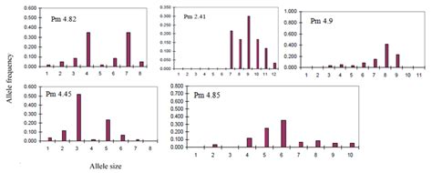 Genetic Composition Of Two Stocks At Each Microsatellite Locus Of M Download Scientific