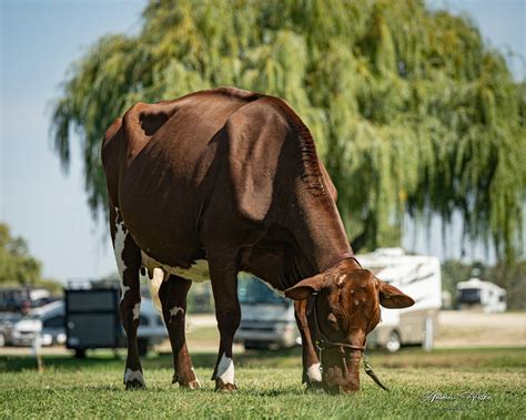 Eric Seifert Eric Seifert Added A New Photo