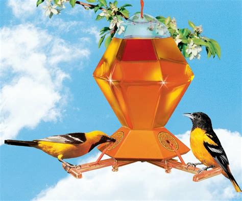 Perky Pet Hex Oriole Feeder Wbee Guards 36 Oz Pp252