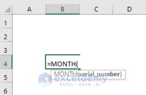 How To Use Excel MONTH Function Examples ExcelDemy