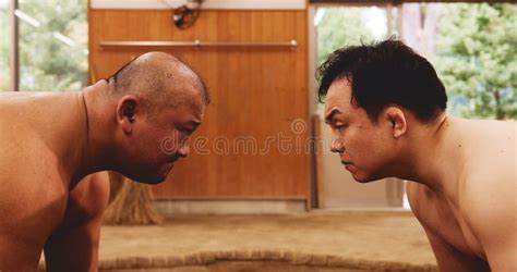 Japanese Men Sumo Wrestling And Fight For Exercise Tradition And