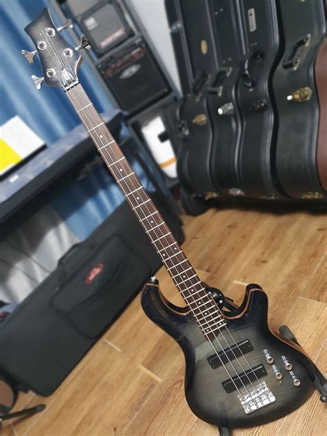 Dame Fall And Paul 250 베이스 기타 데임 폴앤폴 250 팝니다 중고악기 뮬