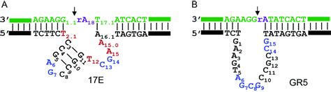 What Is Name Of Online Application Or Program Software To Make