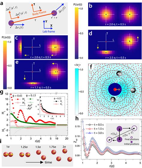 Visualizing Hydrodynamic Modes And Spatiotemporal Evolution Of Pairs A