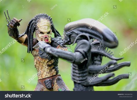 Alien Vs Predator Alien