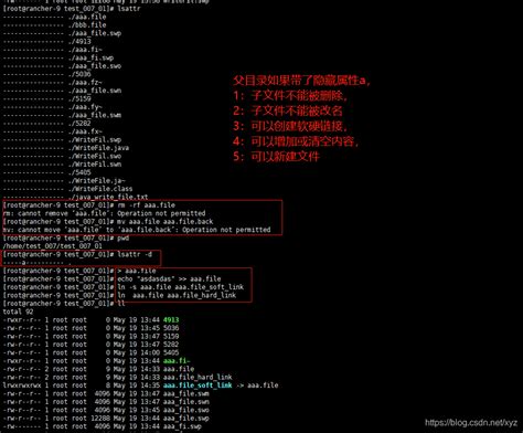 Linux 文件管理 基础知识 文件隐藏属性 【chattr】 修改文件的隐藏属性chmod 怎么对隐藏文件有效 Csdn博客
