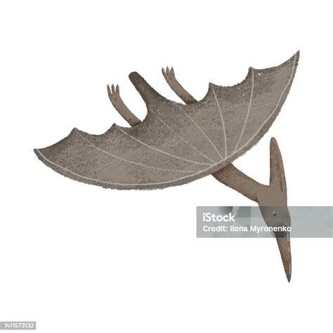 디노 스티커 공룡과 귀여운 일러스트레이션 공룡 인쇄물 아기 지붕 장식으로 유치한 디자인 0명에 대한 스톡 벡터 아트 및 기타 이미지 Istock