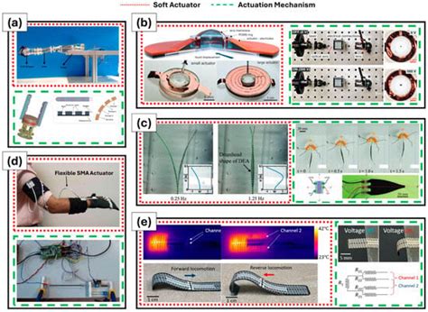 Beyond Human Touch Integrating Soft Robotics With Environmental