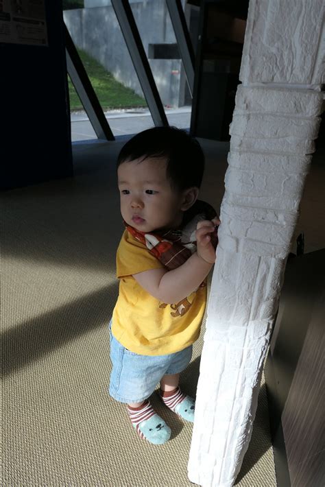 P2160796 珍妮特 Chen Flickr