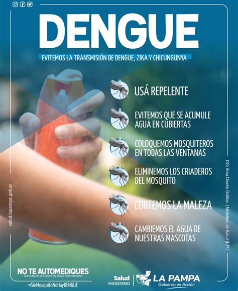 Dengue Desde Salud Reiteraron Medidas Preventivas Y Recomendaciones Para Viajeros Infopico Com