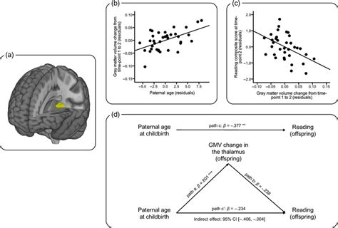 results of the whole‐brain longitudinal voxel‐based morphometry and