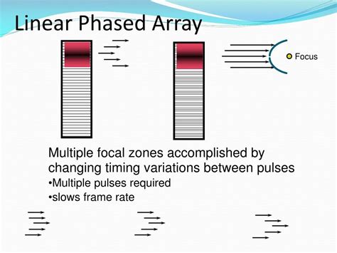 Phased Array Vs Linear Array Transducer At Lisa Bazan Blog