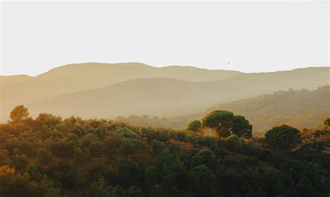 경치 경치가 좋은 계곡 고요한 광야 구름 그림 같은 널찍한 녹지 농업 농지 농촌의 들판 땅 때묻지 않은 롤링 힐스 맑은 공기 목가적인