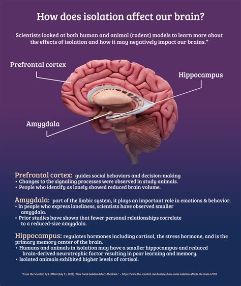 Our Brain In Isolation What To Know What We Can Do SUZANNE GAZDA M D