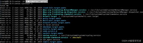 将 Core程序部署到linux服务器上2 以守护进程方式netcore Api 启动防火墙打开 Csdn博客