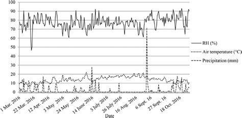 Mean Daily Air Temperature Relative Humidity Rh And Precipitation Download Scientific