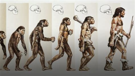 First Human On Earth