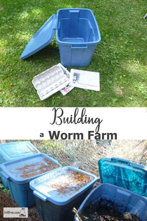 Building A Worm Farm For Compost Pros Step By Step