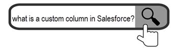 Adding Custom Columns In Salesforce CaliberMind Knowledge Base And Docs