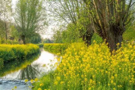 Photo Challenge Geel Natuurfotografie