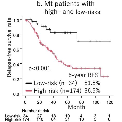 The Cumulative Incidence Of Intrathoracic Metastasis Distant Download Scientific Diagram