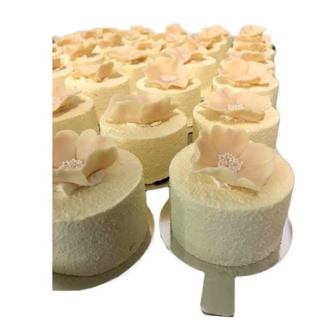 Mouse Cicolata Alba Cu Mascarpone Sarlota Imperiala Suflata Cu Ciocolata Miaunel Si Miaunica