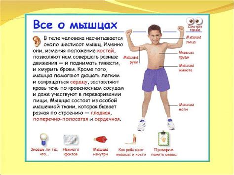 Презентация Части Тела Человека Для Детей Ladypremium