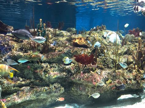 The 15 Best Things To Do In Kure Beach 2026