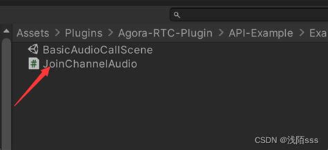 Unity接入声网音频sdk声网 Unity3d Token生成 Csdn博客