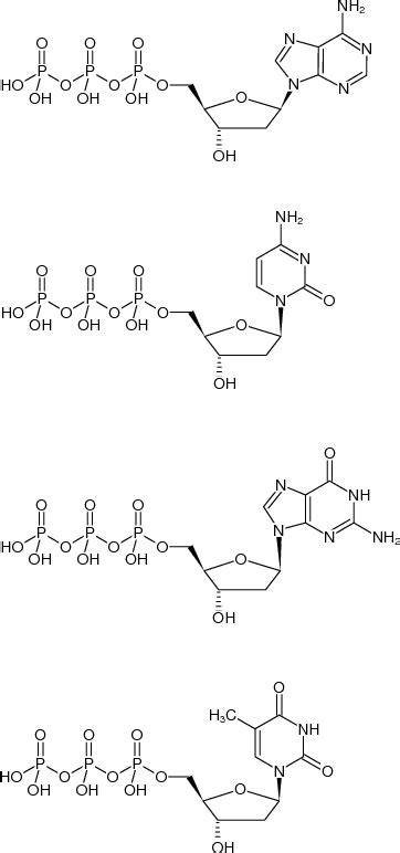 Dntp Mix Boc Sciences