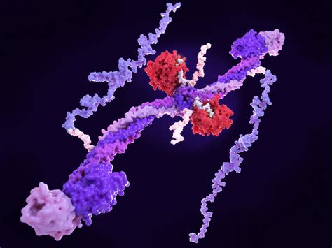 Standards For Clotting Factor Needed For Dental Care In Patients With Hemophilia